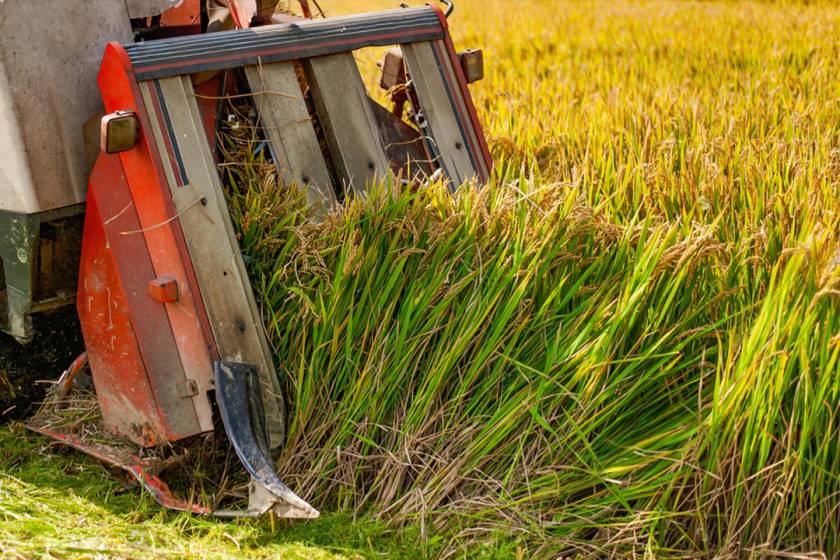 Rice harvester – Hangzhou Ethan Hydraulics Co., Ltd.