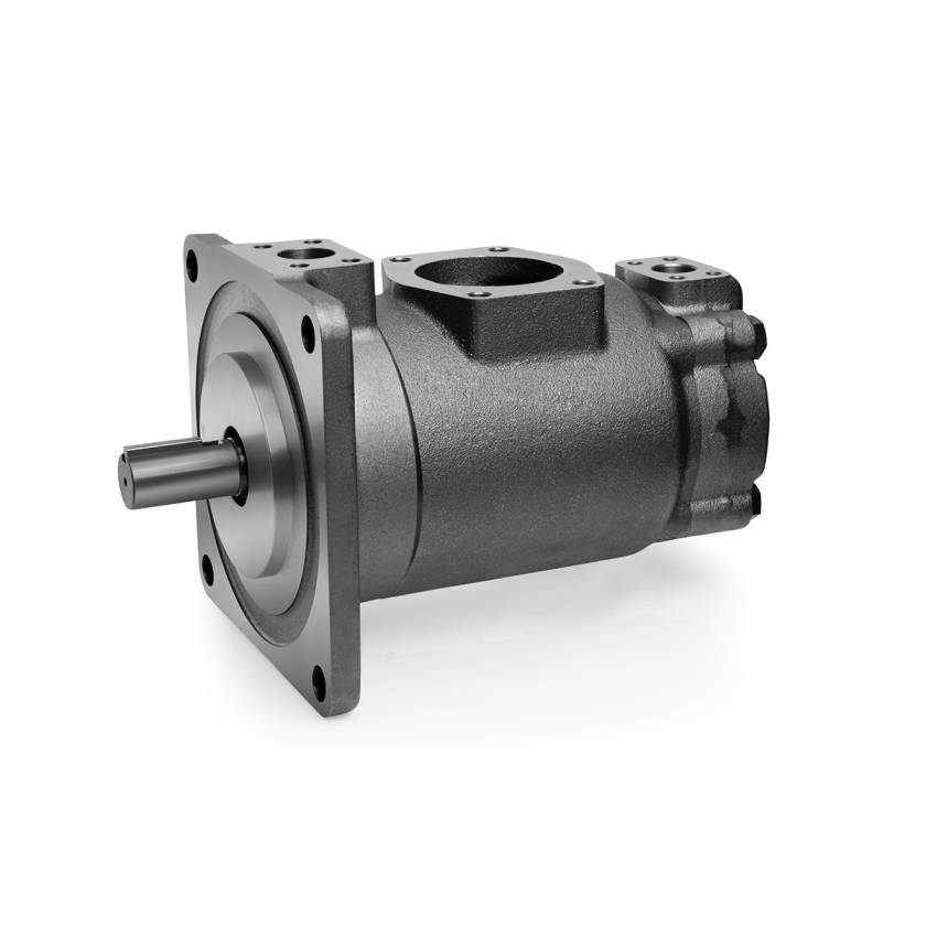 Vane pumps – Hangzhou Ethan Hydraulics Co., Ltd.